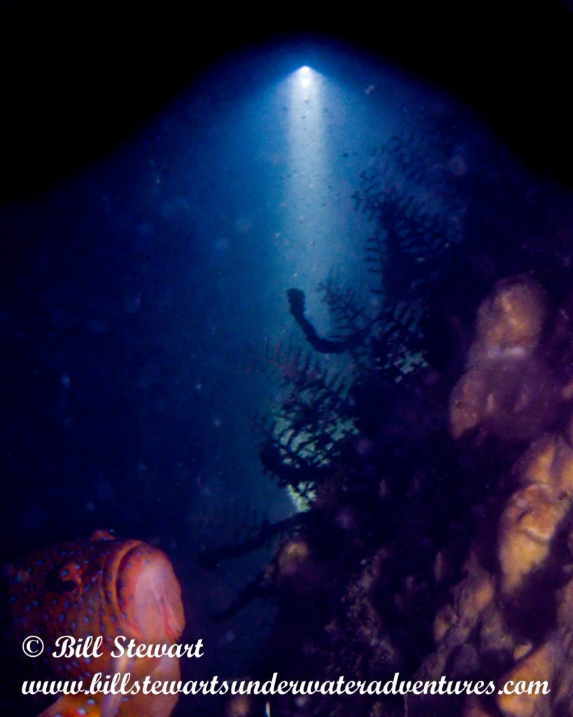 Diving Subic Bay with Arizona Dive Resort – Bill Stewart's Underwater ...